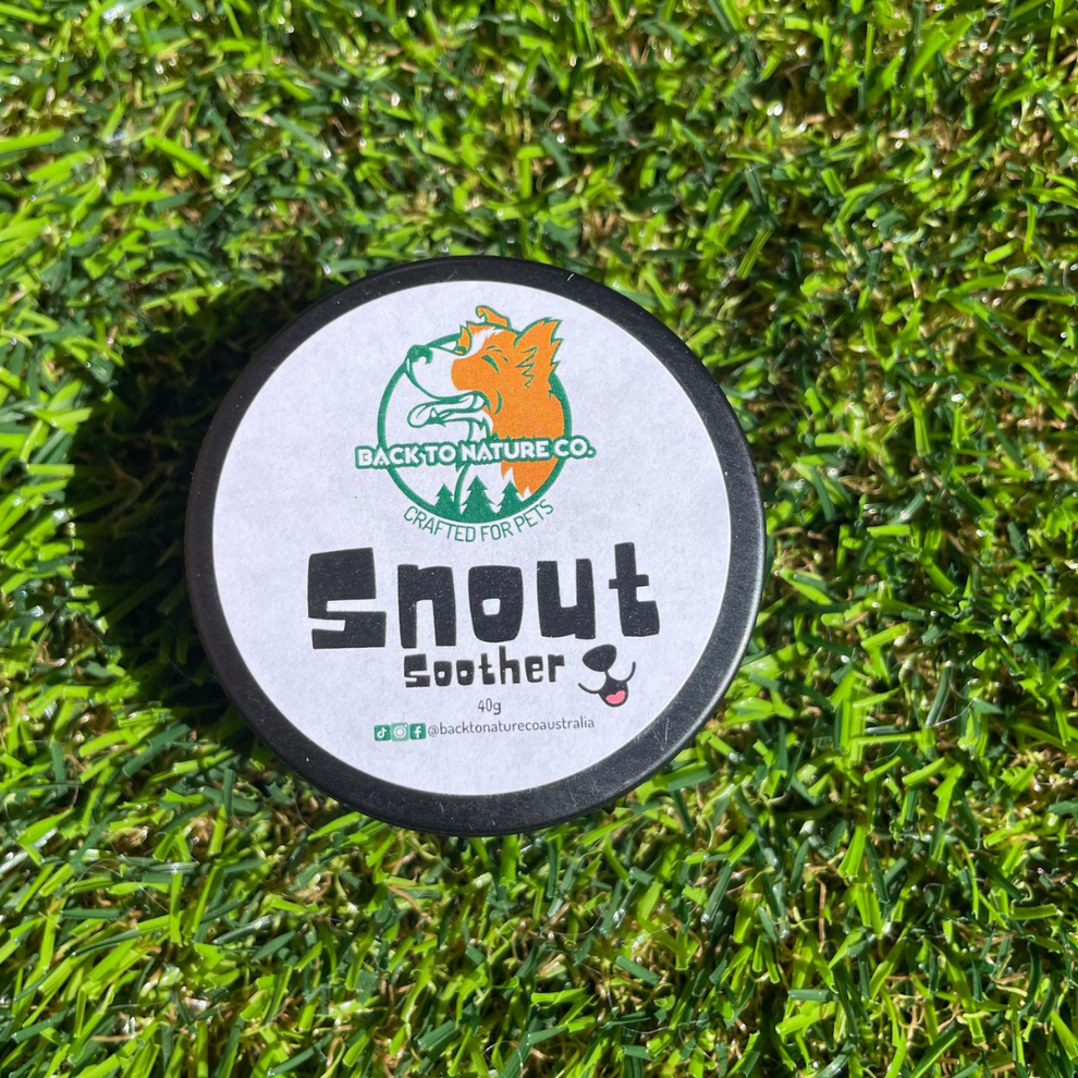 All- Natural Snout Soother - For Dogs With A Dry Snoot – Back To Nature Co